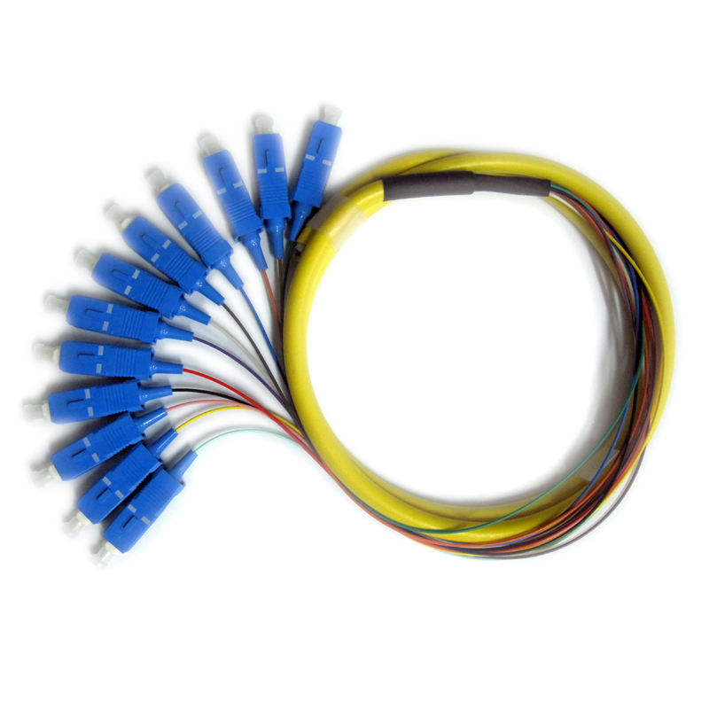 Conector Pigtails mini-breakout de fibra óptica SM SC UPC 12 núcleos ...